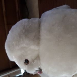 Warner Bros. | Toys | Hedwig Puppet Harry Potter | Poshmark